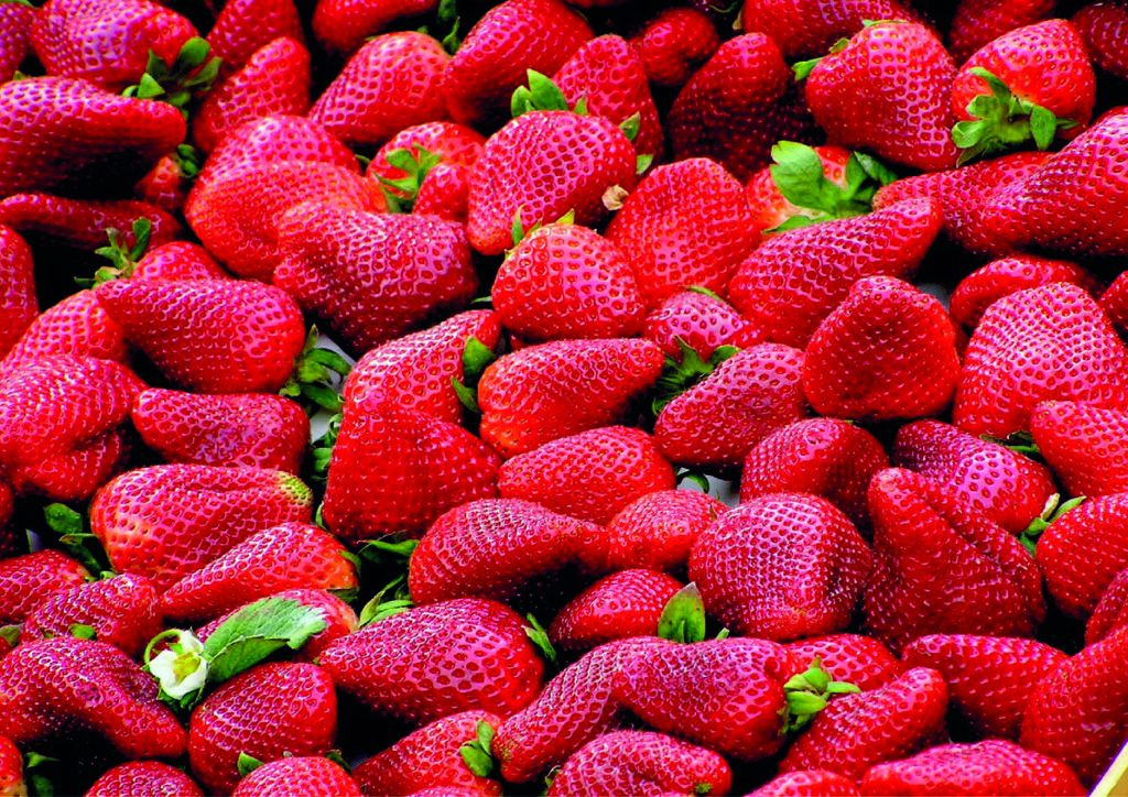 Les fruits | Laflorentie Fruits